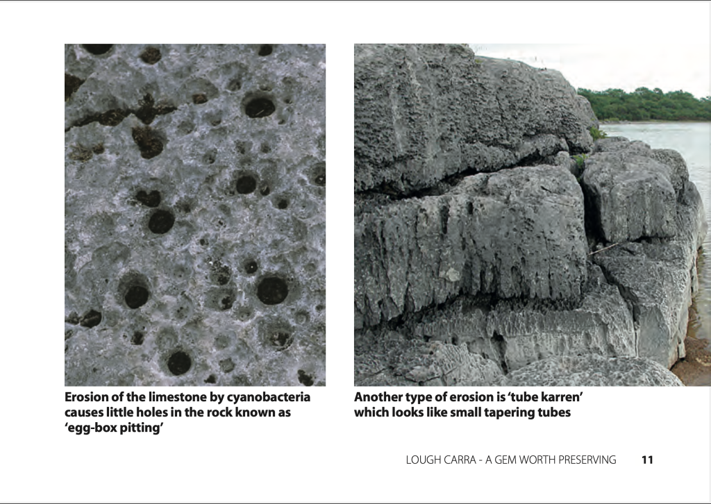 lough carra catchment association – Reg. Charity No. 20206138